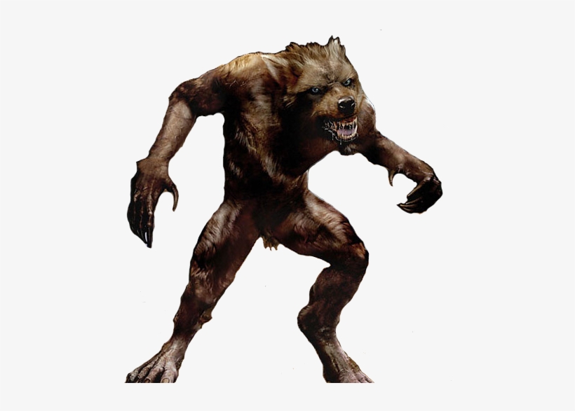Download Werewolf - Werewolf Png | Transparent PNG Download | SeekPNG