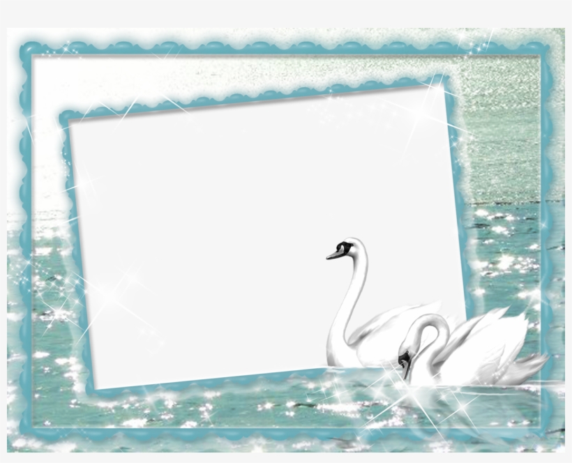 Swan Frame PNG Image | Transparent PNG Free Download on SeekPNG