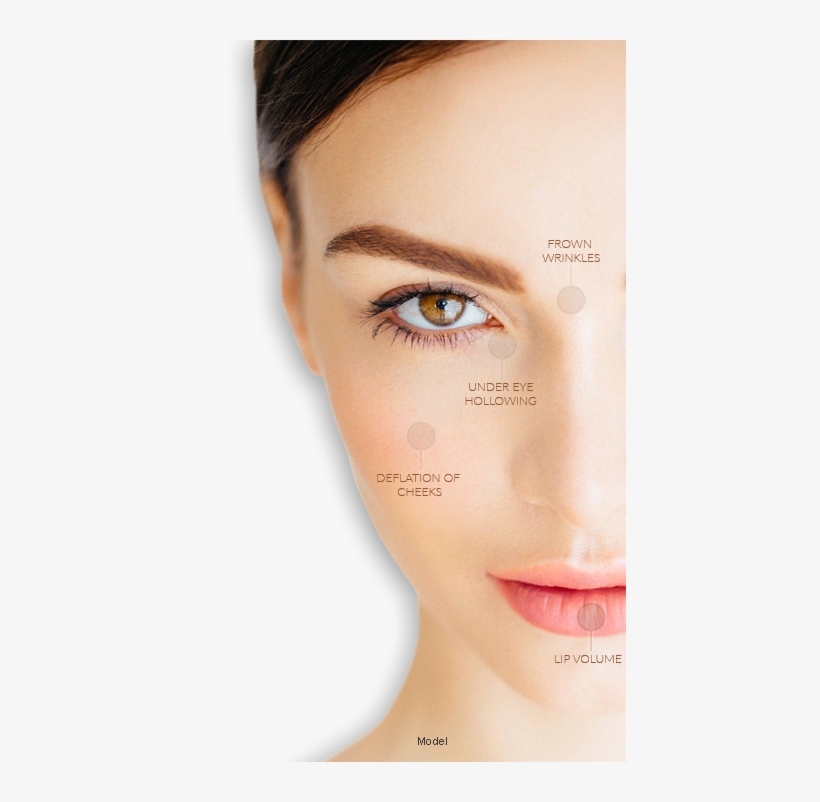 Medical, Surgical & Cosmetic Dermatology Medical, Surgical ...