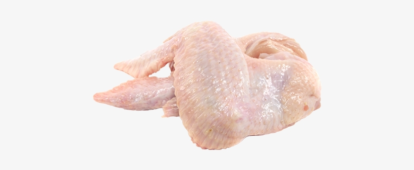 Chicken Wings - Raw Chicken Wing PNG Image | Transparent PNG Free ...