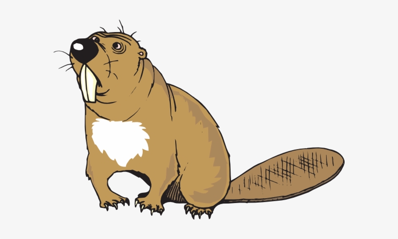 Confused Beaver Svg Clip Arts 600 X 412 Px PNG Image | Transparent PNG ...