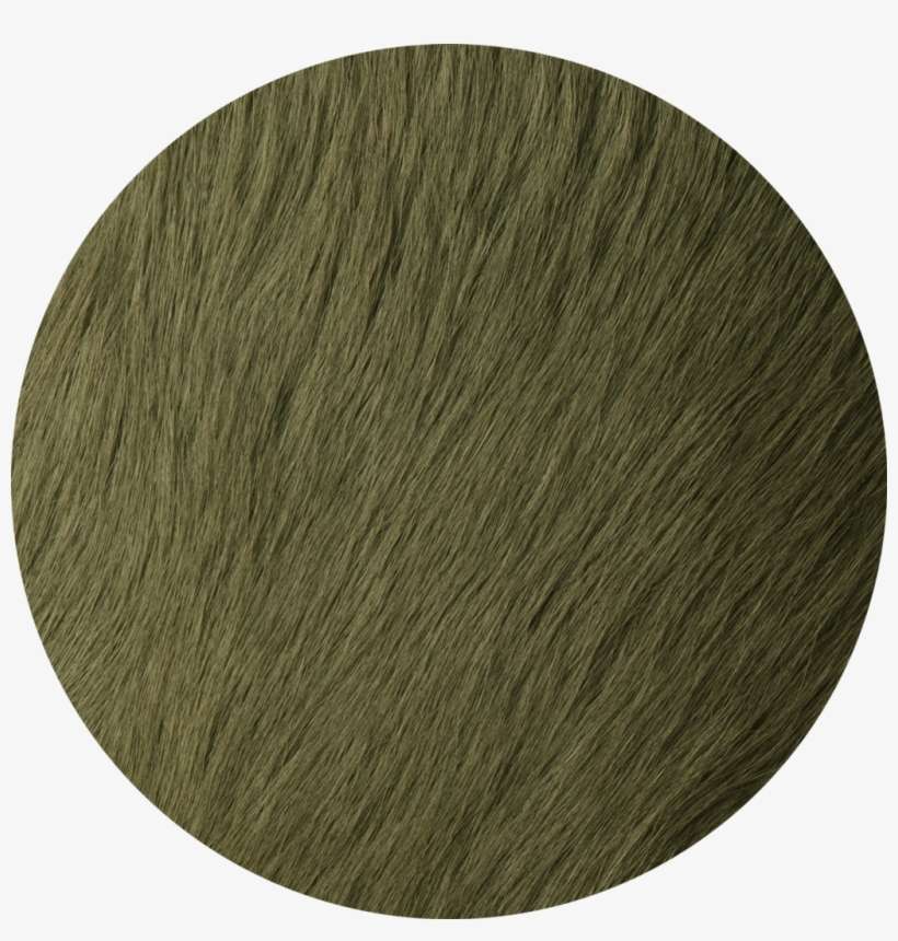 Moss PNG Image | Transparent PNG Free Download on SeekPNG