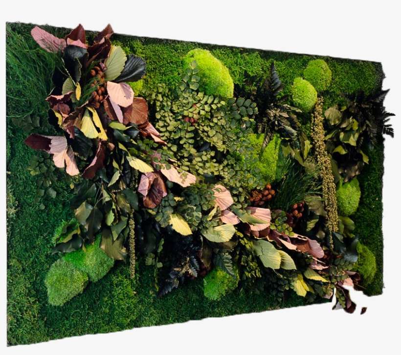 Primavera 50×150 Cm - Moss Trend PNG Image | Transparent PNG Free ...