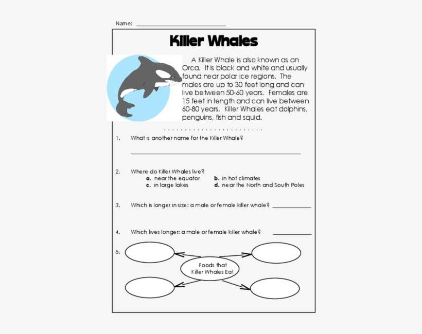 Ocras Reading Comprehension Pinterest Use This Free - Reading ...