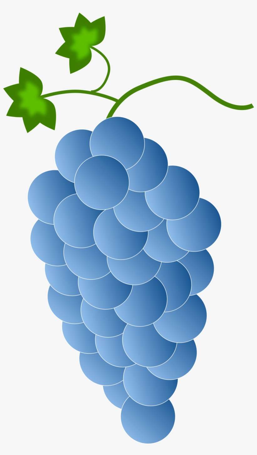 Big Image Png - Blue Grapes Clipart PNG Image | Transparent PNG Free ...