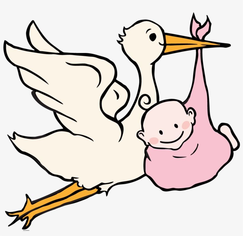 Birth Clipart PNG Image | Transparent PNG Free Download on SeekPNG
