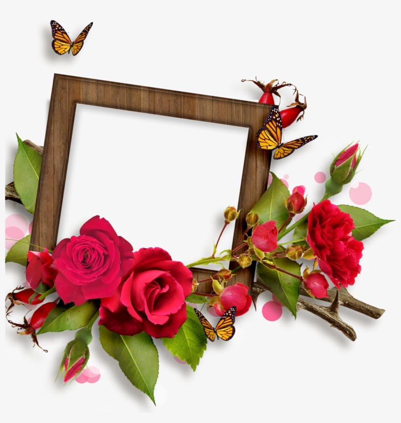 Red Frame With Red Rose - Rose Day Photo Frame PNG Image | Transparent ...