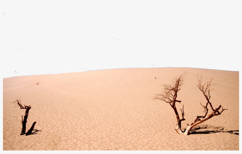 Download Desert Png Background - Desert | Transparent PNG Download ...