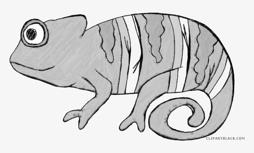 Clipart Desert Animals