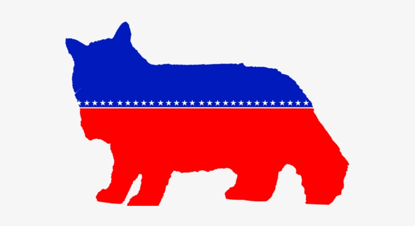 Dank Memes Party - Cat PNG Image | Transparent PNG Free Download on SeekPNG