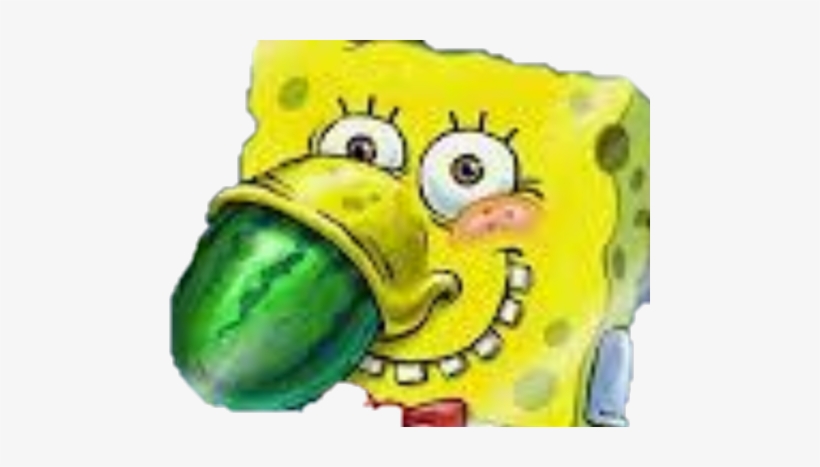 Download Dank Meme Dankmeme Spongebob Sponge Watermelon Water ...