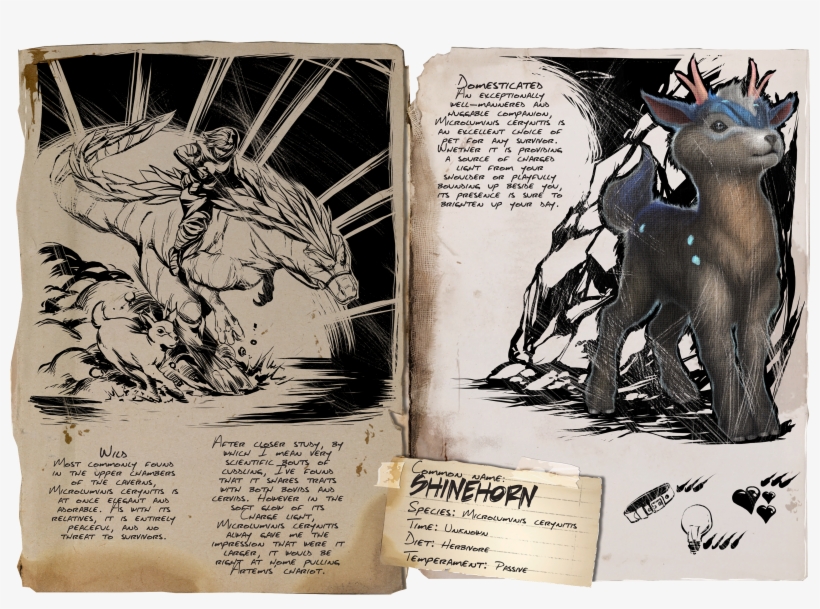 Find This Pin And More On Ark By Alissongames - Ark Survival Evolved ...