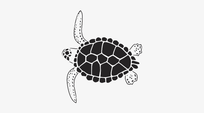 Turtle Graphic - Turtle Graphics PNG Image | Transparent PNG Free ...