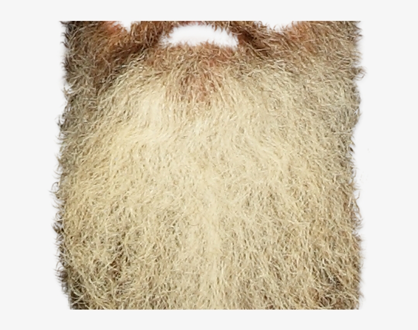 Portable Network Graphics PNG Image | Transparent PNG Free Download on ...