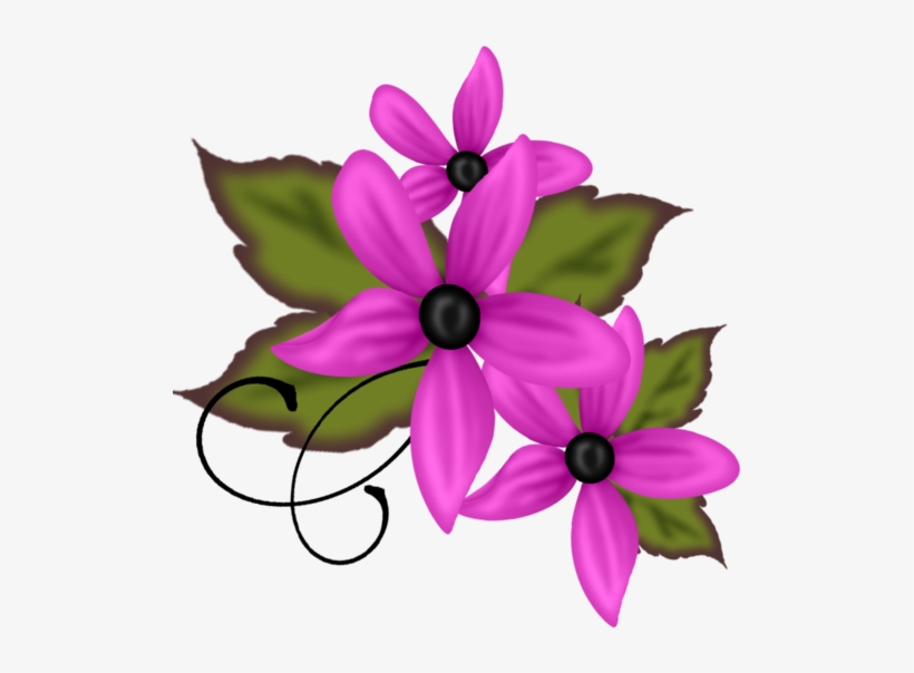 Download Lelianasp - Flores Sem Fundo Branco | Transparent PNG Download ...