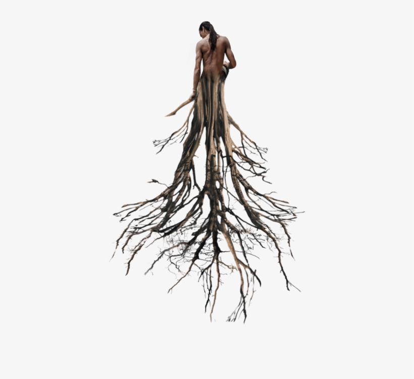 Man Tree Png Stock Floating Island Surreal Figure By - Tree Roots Png ...