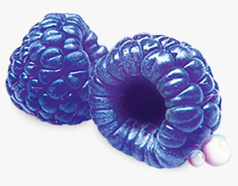 Download Blue Raspberry Png Clip Free - Blue Raspberry Transparent ...