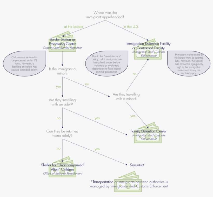 Immigration Detention Flowchart - Immigration Detention PNG Image ...