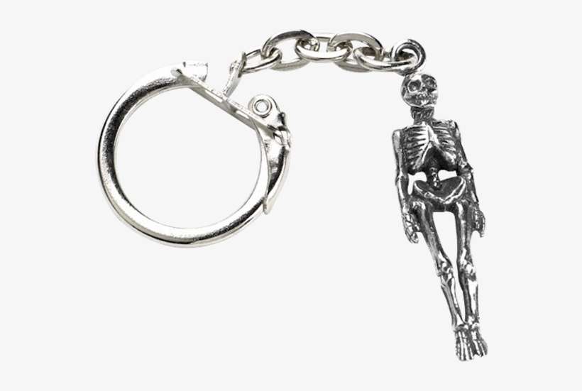 Skeleton Key Ring - Keychain PNG Image | Transparent PNG Free Download ...