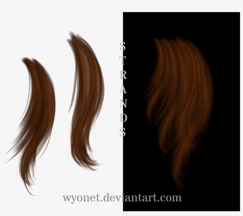 Vector Hairstyles Hair Strand - Hair Strands Transparent Background PNG ...