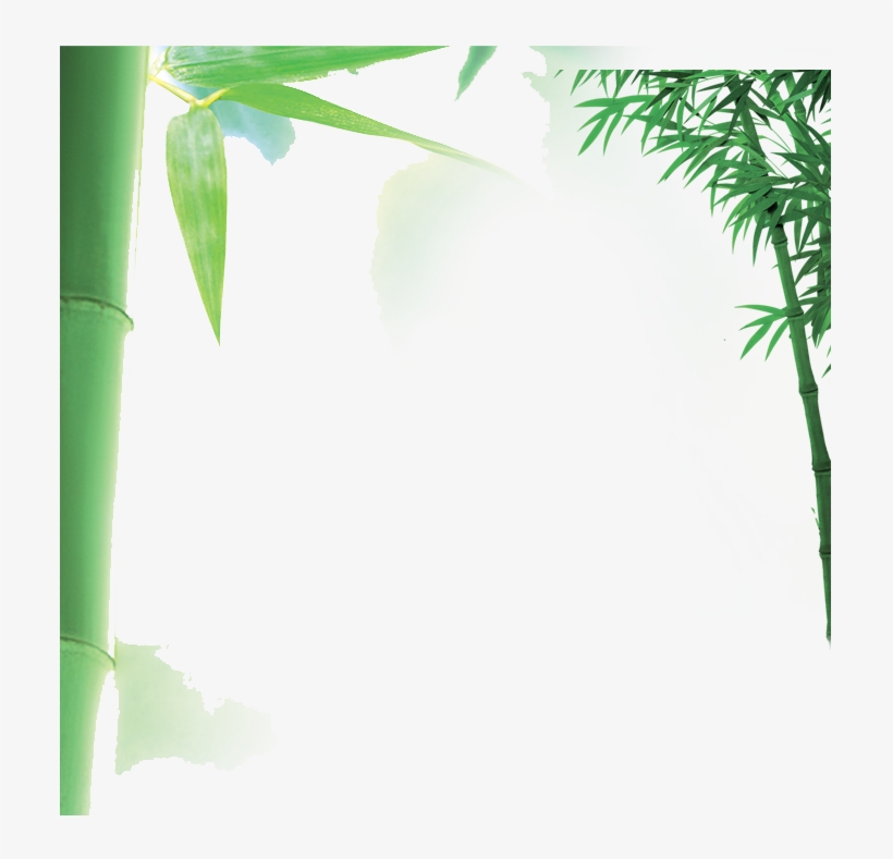Download Bamboo Download - Border Bamboo Design Png | Transparent PNG ...