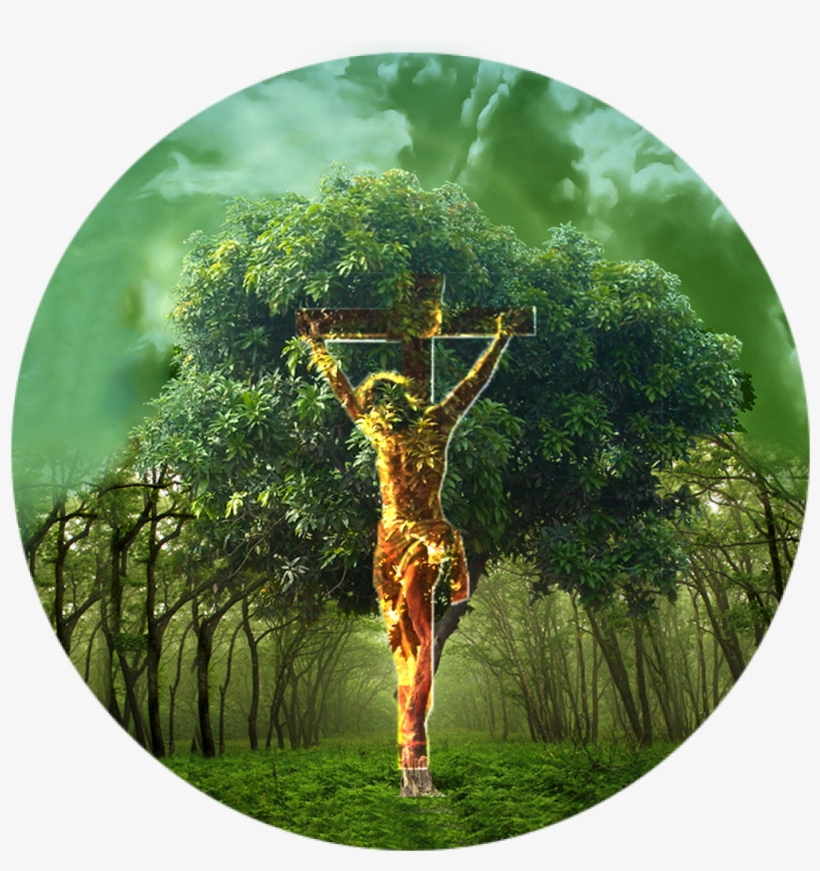 The Jesus Tree Of Life