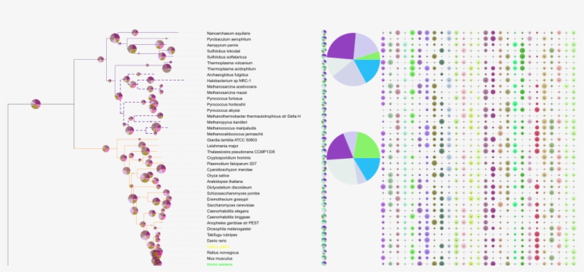 Unlimited Number Of Datasets - Graphic Design PNG Image | Transparent ...