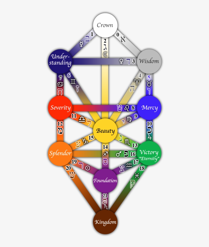 Tree Of Life PNG Image | Transparent PNG Free Download on SeekPNG