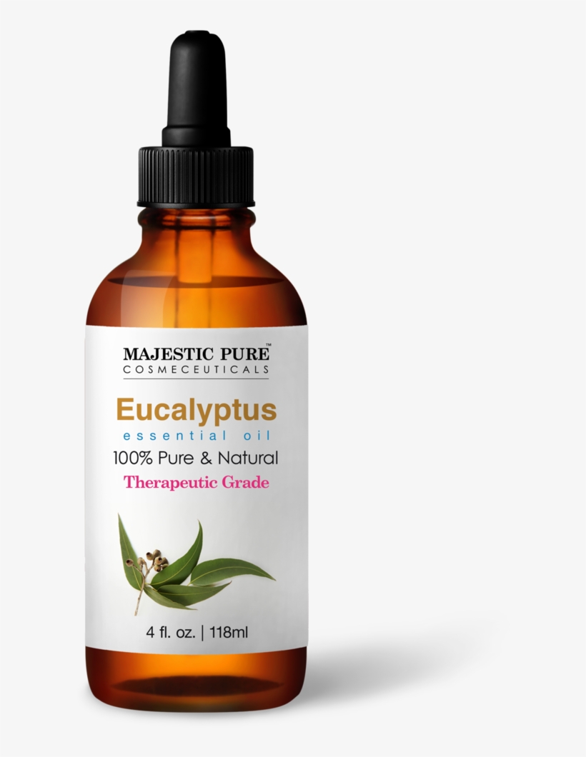Eucalyptus Oil - Eucalyptus Majestic Pure Essential Oils PNG Image ...