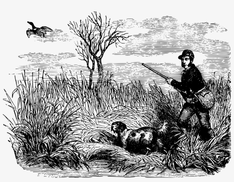 Duck Mallard Waterfowl Hunting Drawing - Duck PNG Image | Transparent ...