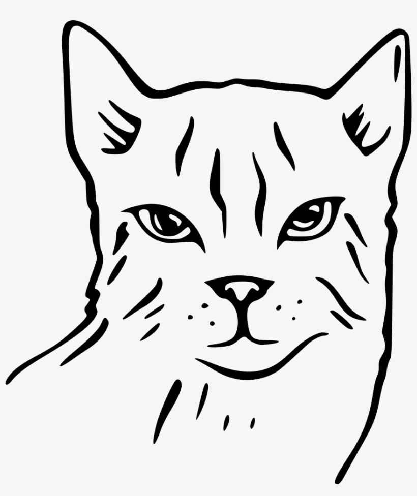 Cat Comments - Dog PNG Image | Transparent PNG Free Download on SeekPNG