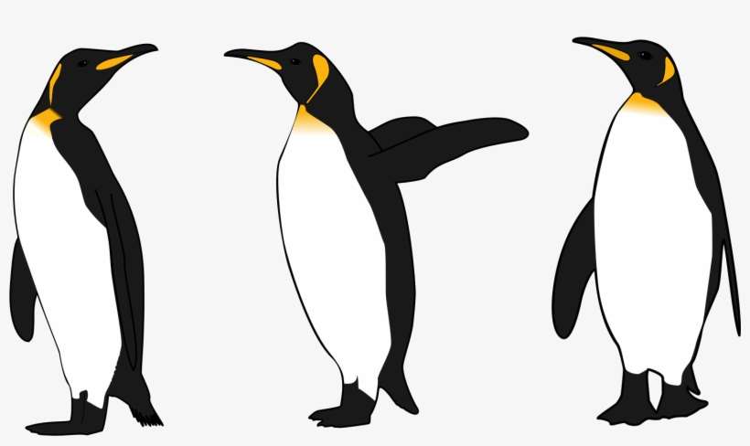 Png Freeuse Download Pencil And In Color - Emperor Penguin Clip Art PNG ...