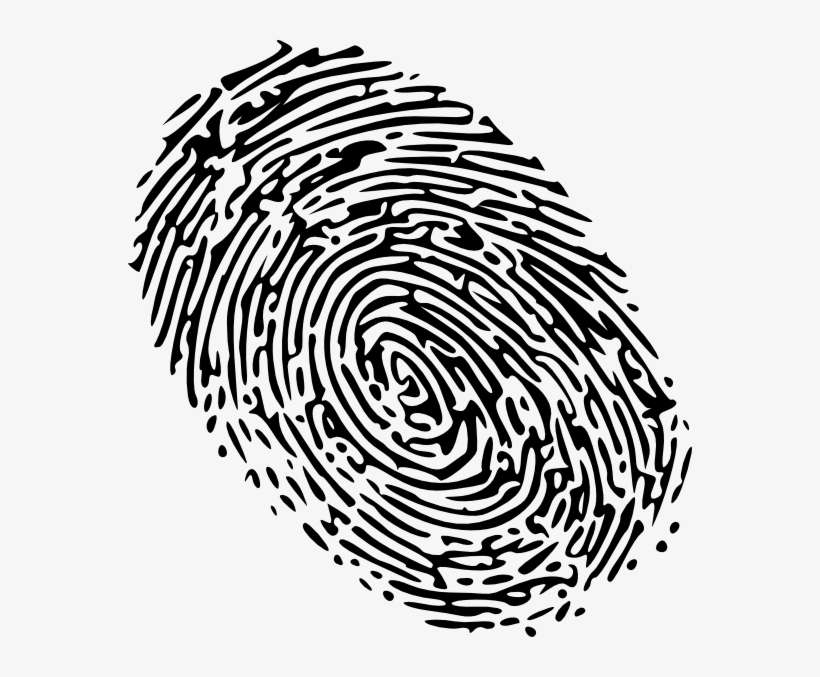 Fingerprint Png Picture - Fingerprint Png PNG Image | Transparent PNG ...