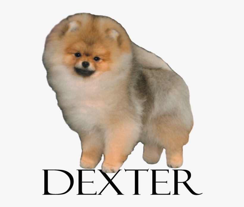 Menu - Failing Forward PNG Image | Transparent PNG Free Download on SeekPNG