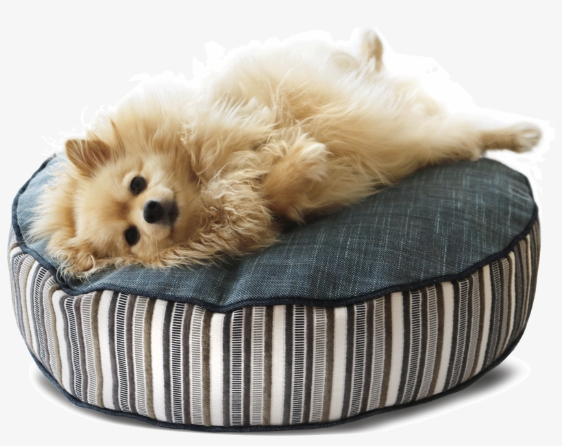Beautiful Dog Bed Medium Luxury Stripe Teal - Bed PNG Image ...