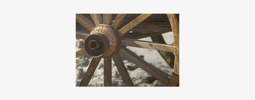 Wheel PNG Image | Transparent PNG Free Download on SeekPNG