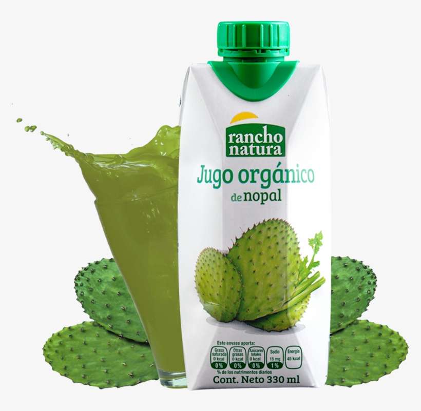 Jugo De Nopal 100% Orgánico, Natural Y Mexicano - Productos De Nopal ...