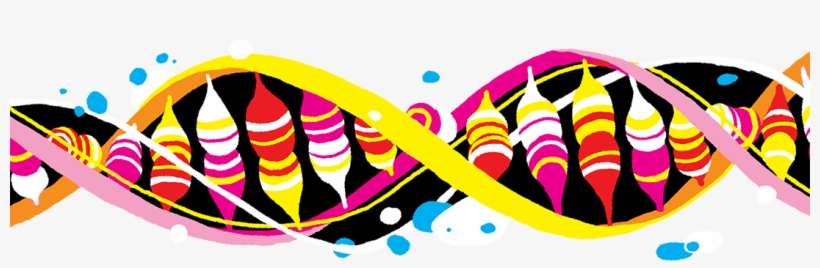 Book Buzz PNG Image | Transparent PNG Free Download on SeekPNG