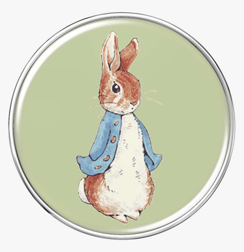 Cottontail - Peter Rabbit Transparent Background Clipart PNG Image ...