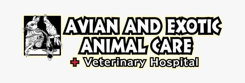 Back - Avian And Exotic Animal Care PNG Image | Transparent PNG Free ...