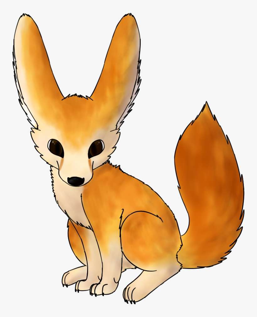 Fennec Fox - Dog PNG Image | Transparent PNG Free Download on SeekPNG