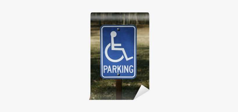 Download Handicap Parking Sign | Transparent PNG Download | SeekPNG