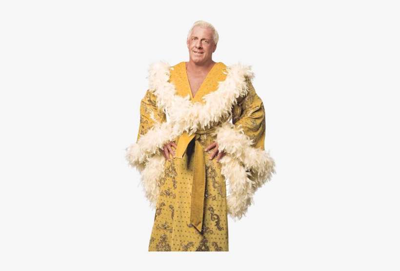 Wwe Le Hace Oferta A Ric Flair Para Que Este No Se - Kimono PNG Image ...