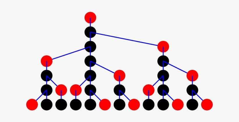 The Fibonacci Network After 6 Generations - Circle PNG Image ...