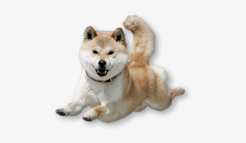 Dancing Doge Png Vector Freeuse Library - Shiba Inu Fighting PNG Image ...