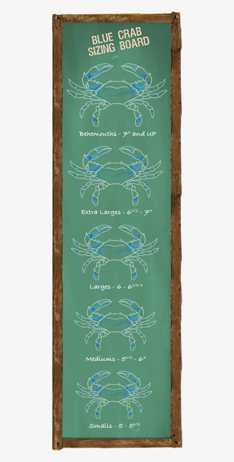 Chesapeake Blue Crab PNG Image | Transparent PNG Free Download on SeekPNG