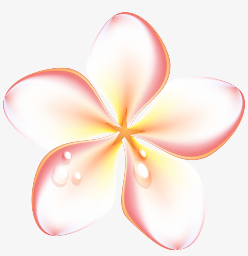Exotic Summer Flowers Transparent Png Clip Art Image - Summer Flower ...