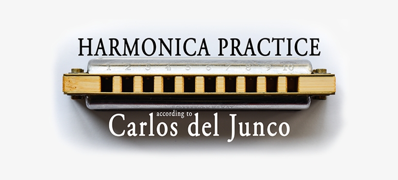 Harmonica PNG Image | Transparent PNG Free Download on SeekPNG