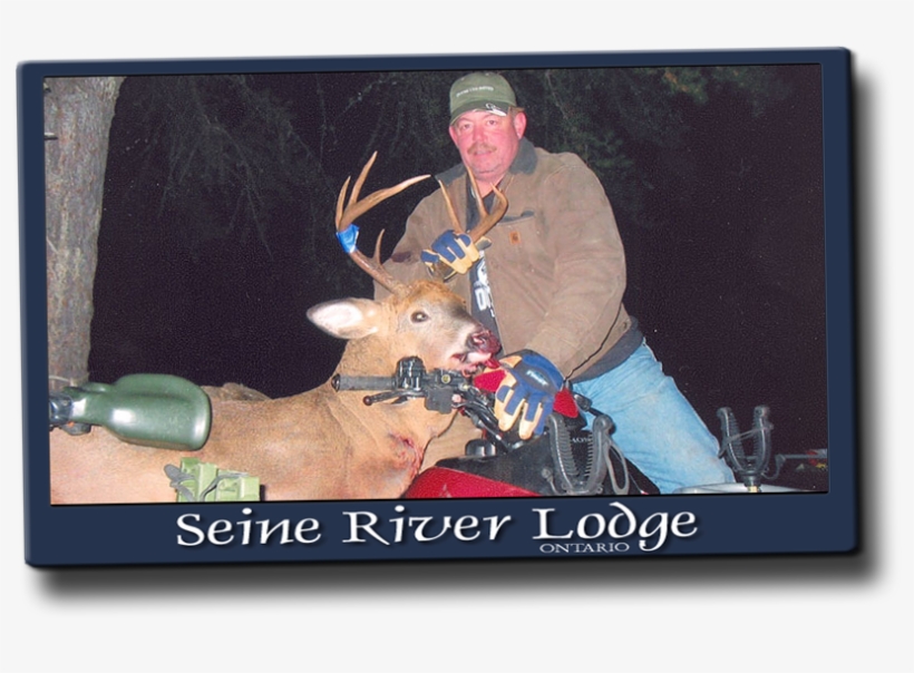 Guided Whitetail Deer Hunts - Deer Hunting PNG Image | Transparent PNG ...