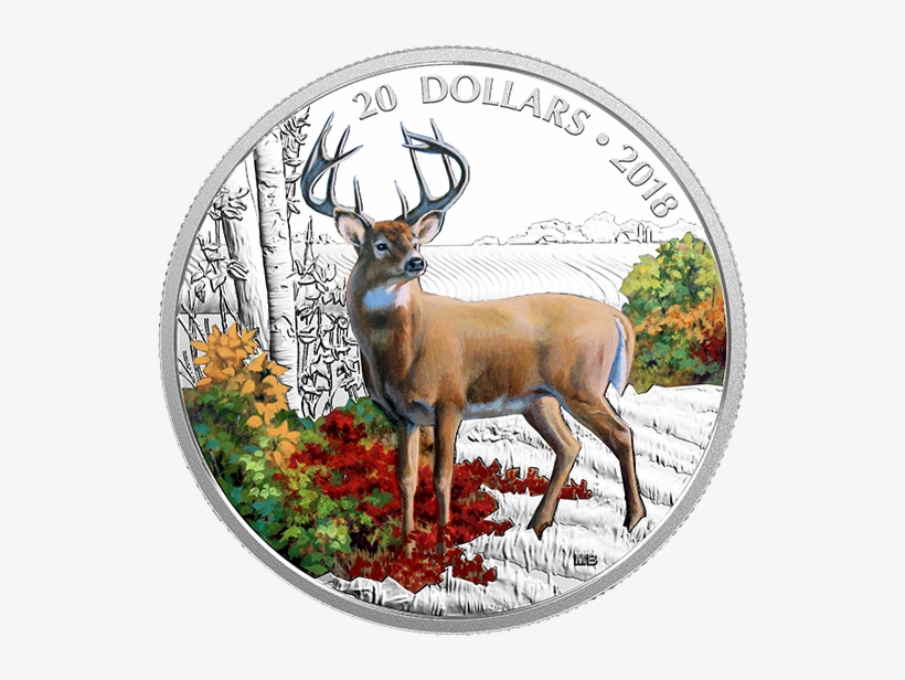 Pure Silver Coloured Coin - Silver Coin PNG Image | Transparent PNG ...